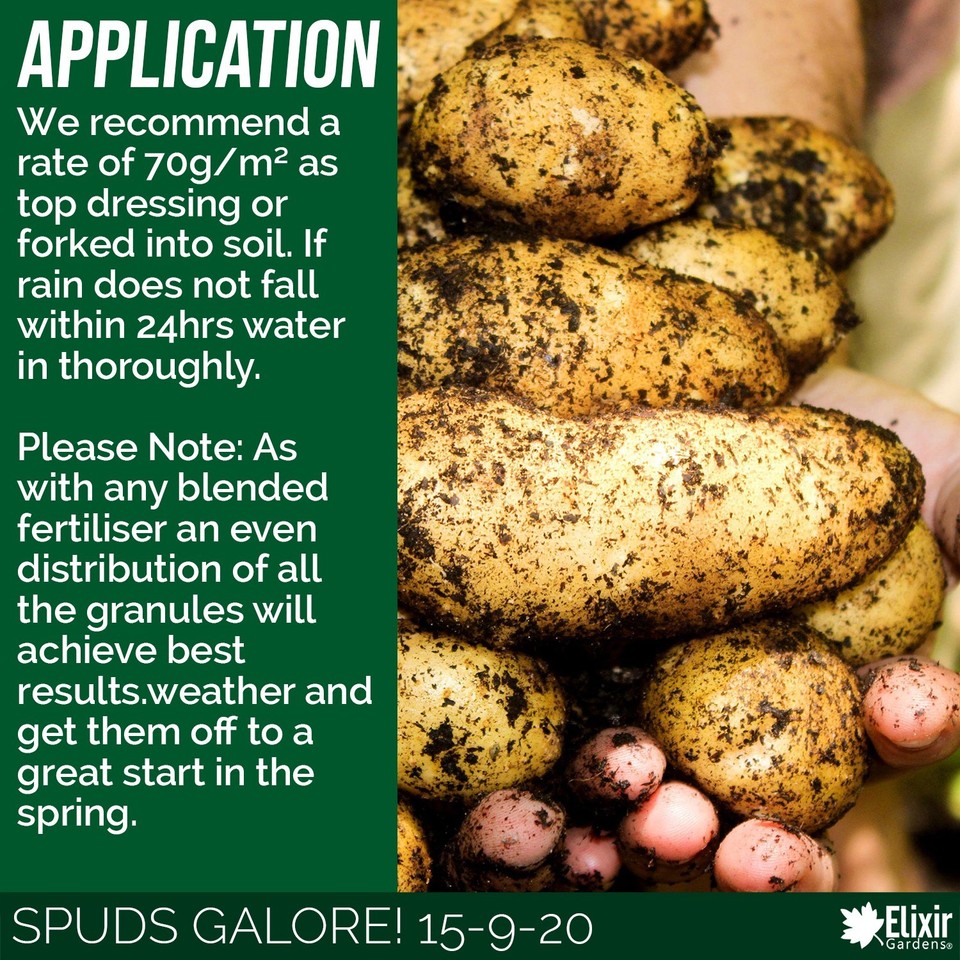 Spuds Galore! Slow-Release Blended Potato Fertiliser & Plant Food | Tub or Bag | eBay UK