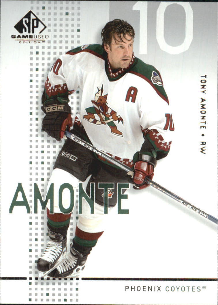 2002-03 SP Game Used #39 Tony Amonte | eBay