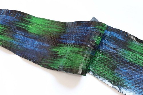 Splash Elaphe Snake Skin Hide Leather Snakeskin Glossy Green Blue | eBay