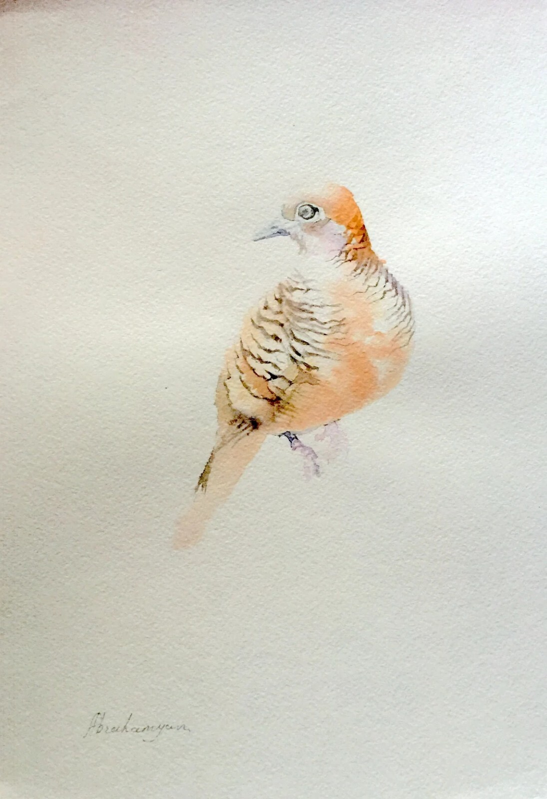 Partridge, Birds, Watercolor artwork, Handmade, Original painting on ...