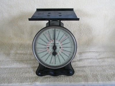 Scales - 20 Pound