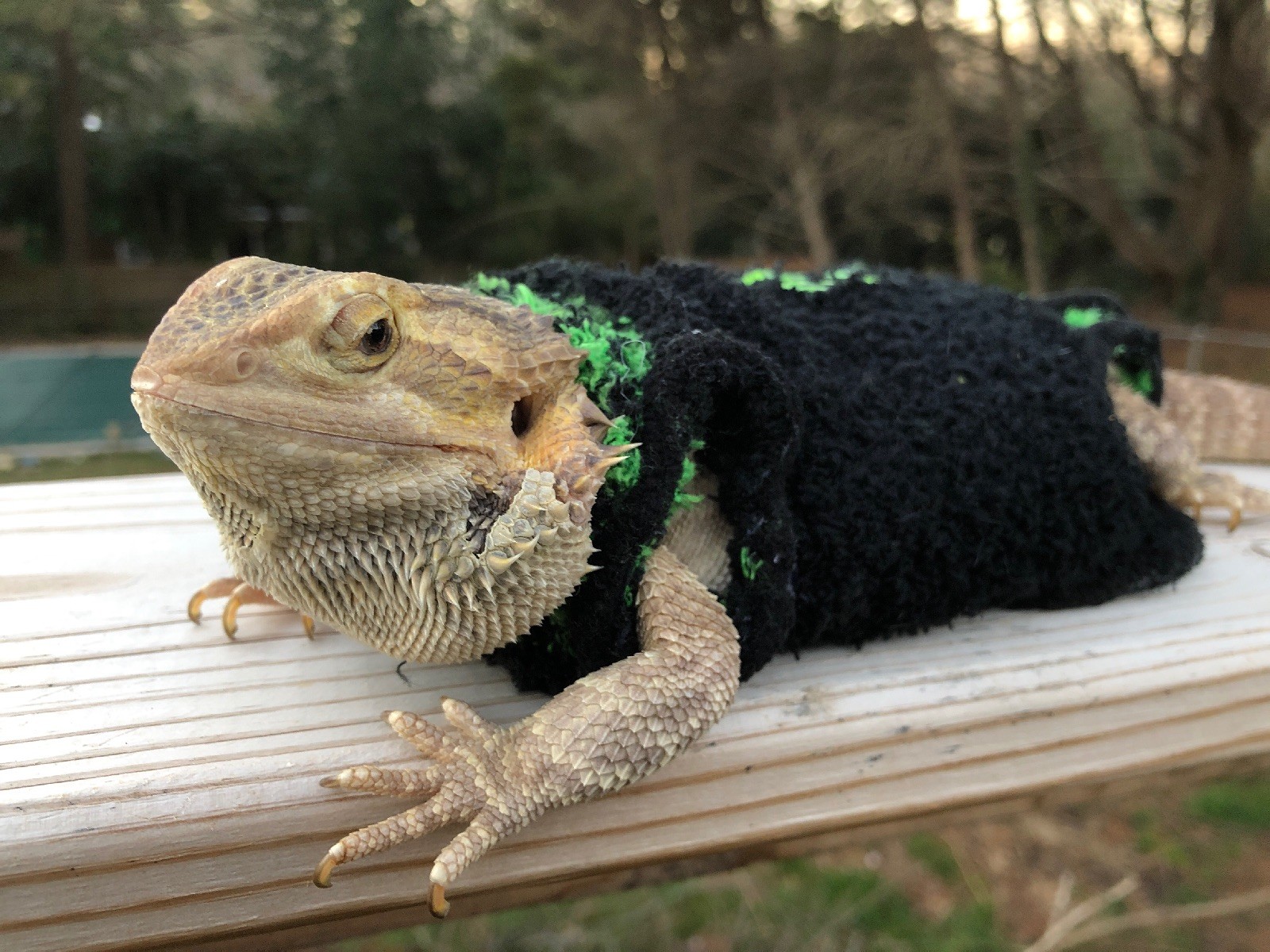 MINECRAFT PRINTS SNUG XLRG SLEEVELESS BODY SHIRT 4 UNISEX BEARDED ...