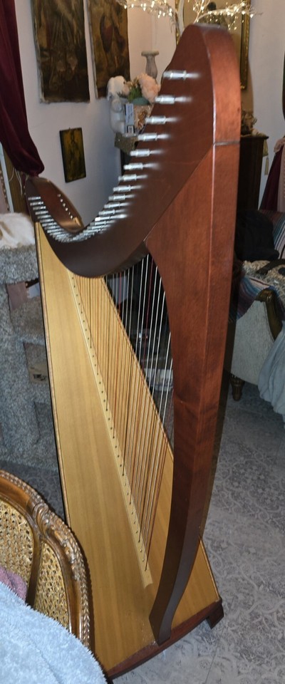 Salvi Livia Lever Harp 36 String 5 Octaves New Strings Tune-up Mahogany ...