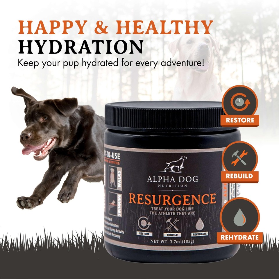 Dog Electrolytes Resurgence by Alpha Dog Nutrition | Hydration ...