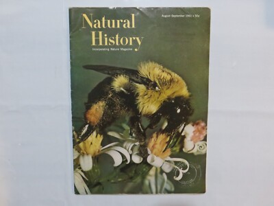 Natural History Magazine 1961 August September 2U | eBay