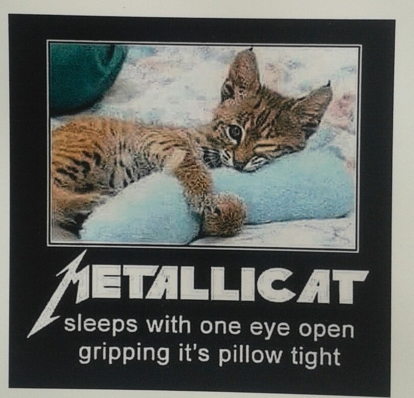 Metallica One Meme