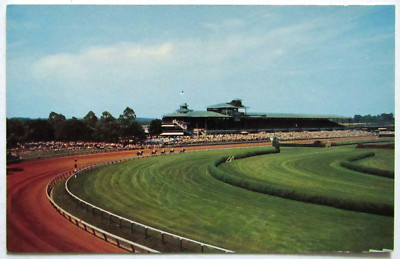 Wilmington Delaware Park Horse Race Track Grandstand Postcard | eBay