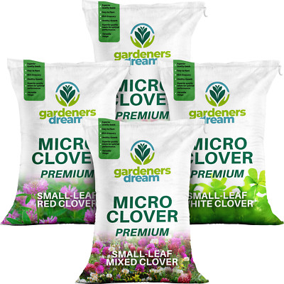 Micro Mixed Clover Grass Seed Eco-Friendly Drought Resistant Lawn ...