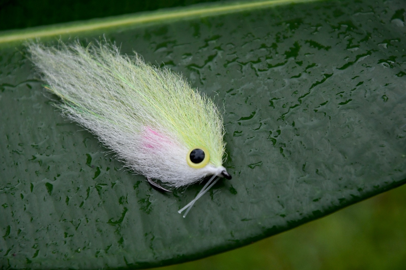 EP Baitfish Fly 2/0 Pilchard Redfish Tarpon Snook Saltwater Flies | eBay