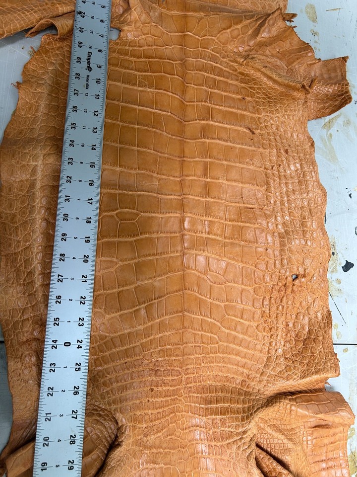 Genuine Wild American Alligator Hide – Light Tan | Leather for Crafts ...