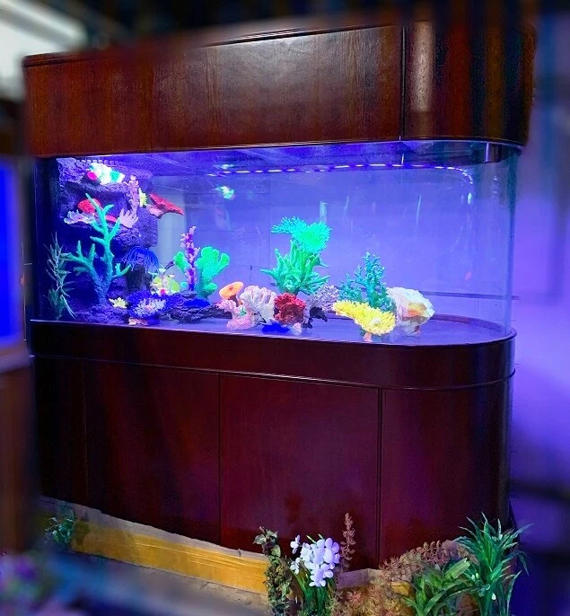 Aquarium Dimensions, Sizes, And Weights Pet Fish Place, 49% OFF