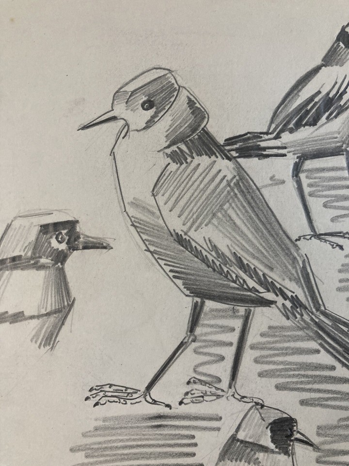 Beautiful Drawing 1950 Bird Lead Cubist Cubism Sparrows To Identify Art ...