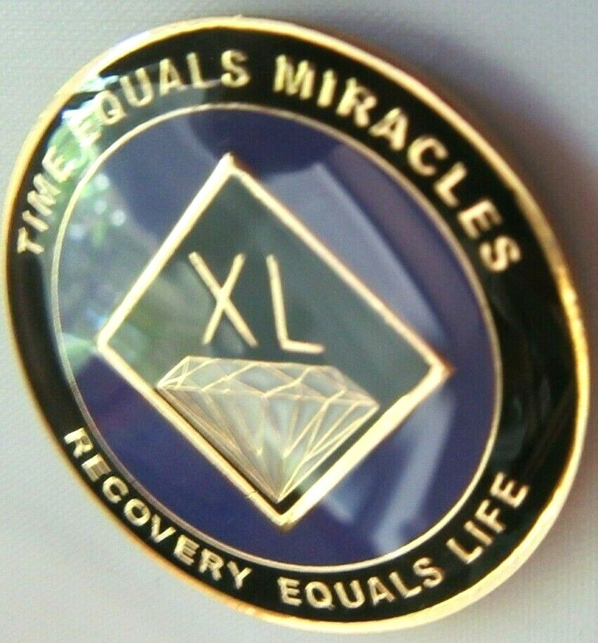 Narcotics Anonymous Purple 40 Year Medallion Clean NA Chip Coin Token ...