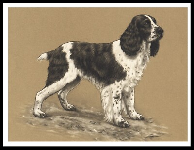 ENGLISH SPRINGER SPANIEL LOVELY VINTAGE STYLE DOG ART PRINT POSTER ...