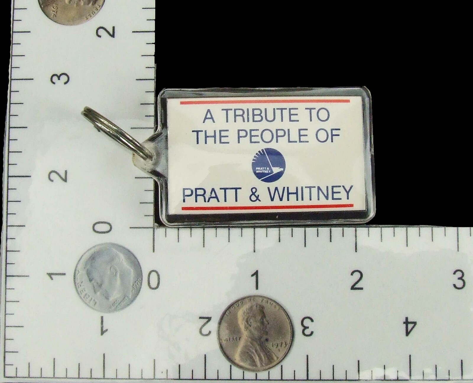 Pratt & Whitney Old Eagle Flying Pig PW F100 3000 Engines Commemorative ...