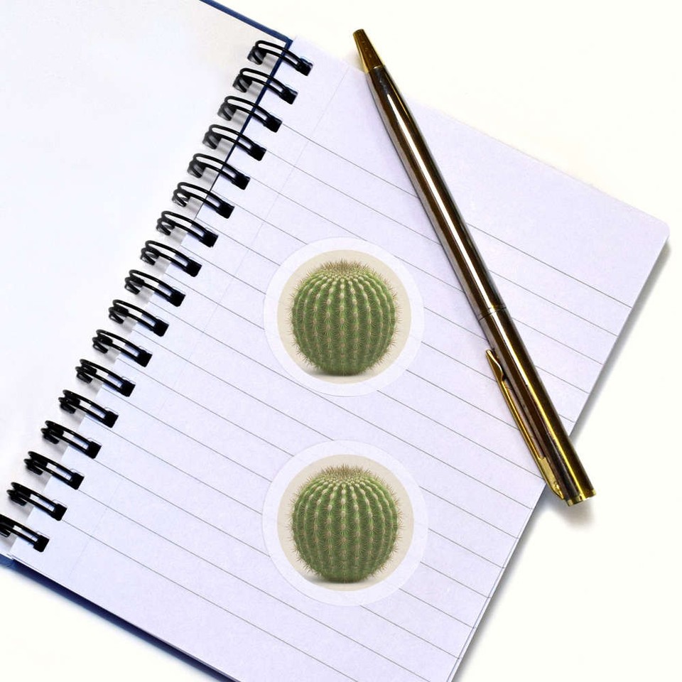 24 x 'Round Cactus' Stickers (SK00070630) | eBay