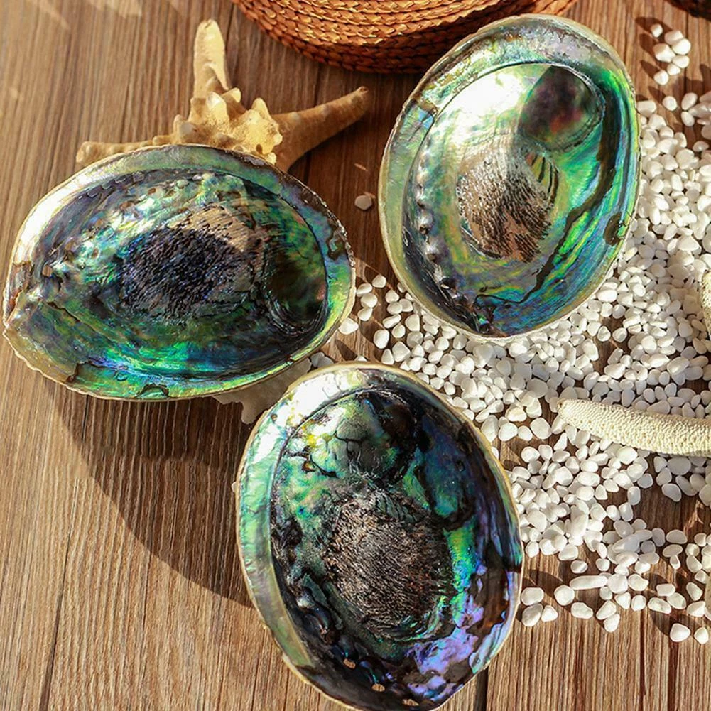 Inside Of Abalone Shell