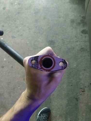 CUMMINS OIL DRAIN GASKET 5264568 for sale online | eBay