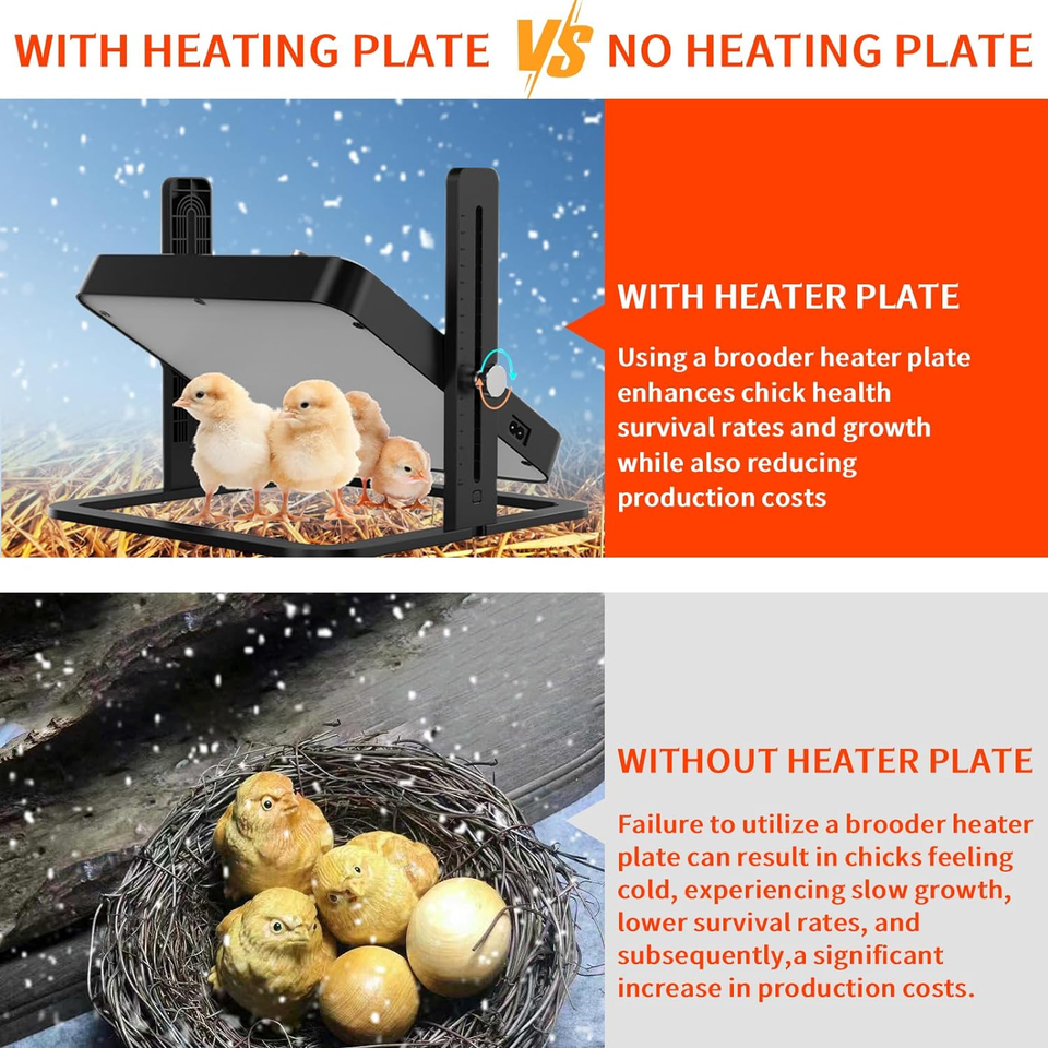 Chick Brooder Heating Plate Duckling Brooder Heater with Adjustable ...