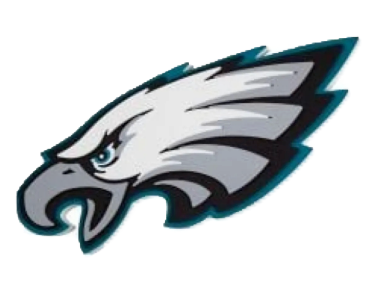 Philadelphia Eagles NFL 3D Fan Chain Necklace Foam (Green Chain ...
