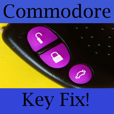 Holden Commodore Key Buttons VS VT VX VY VZ Purple Set | eBay