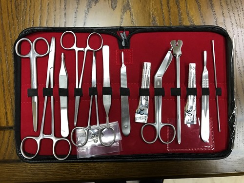 Minor Surgery Set 14 Pieces Surgical Instruments kit Stainless Steel | eBay