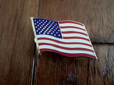 U.S.A AMERICAN WAVY FLAG HAT PIN LAPEL PIN DOUBLE POST PIN | eBay