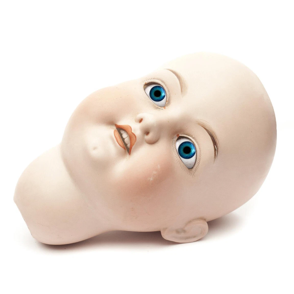 Human Taxidermy