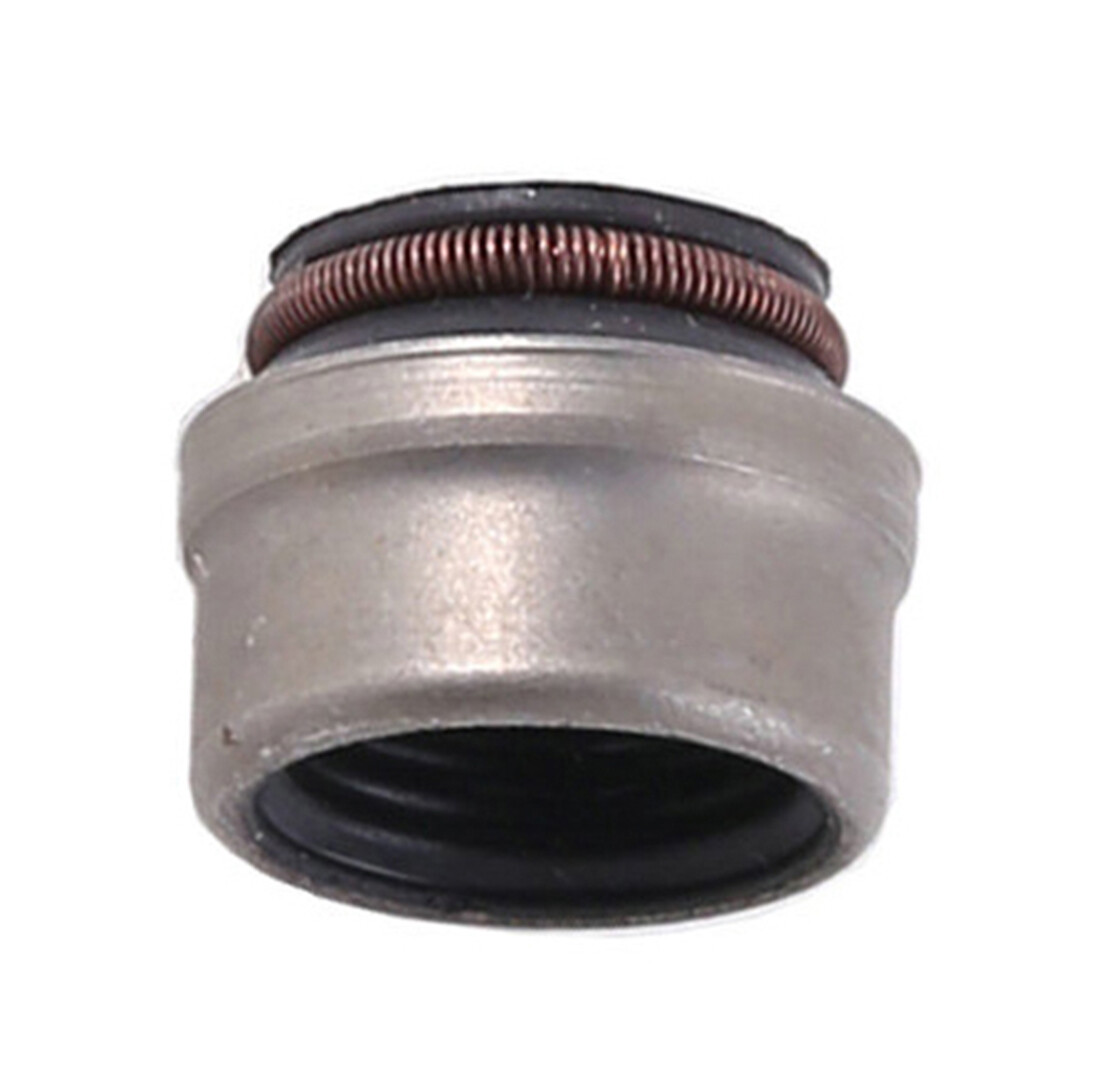 20PCS 6MM Valve Stem Oil Seals Set For VW Golf AUDI TT 036109675A | eBay