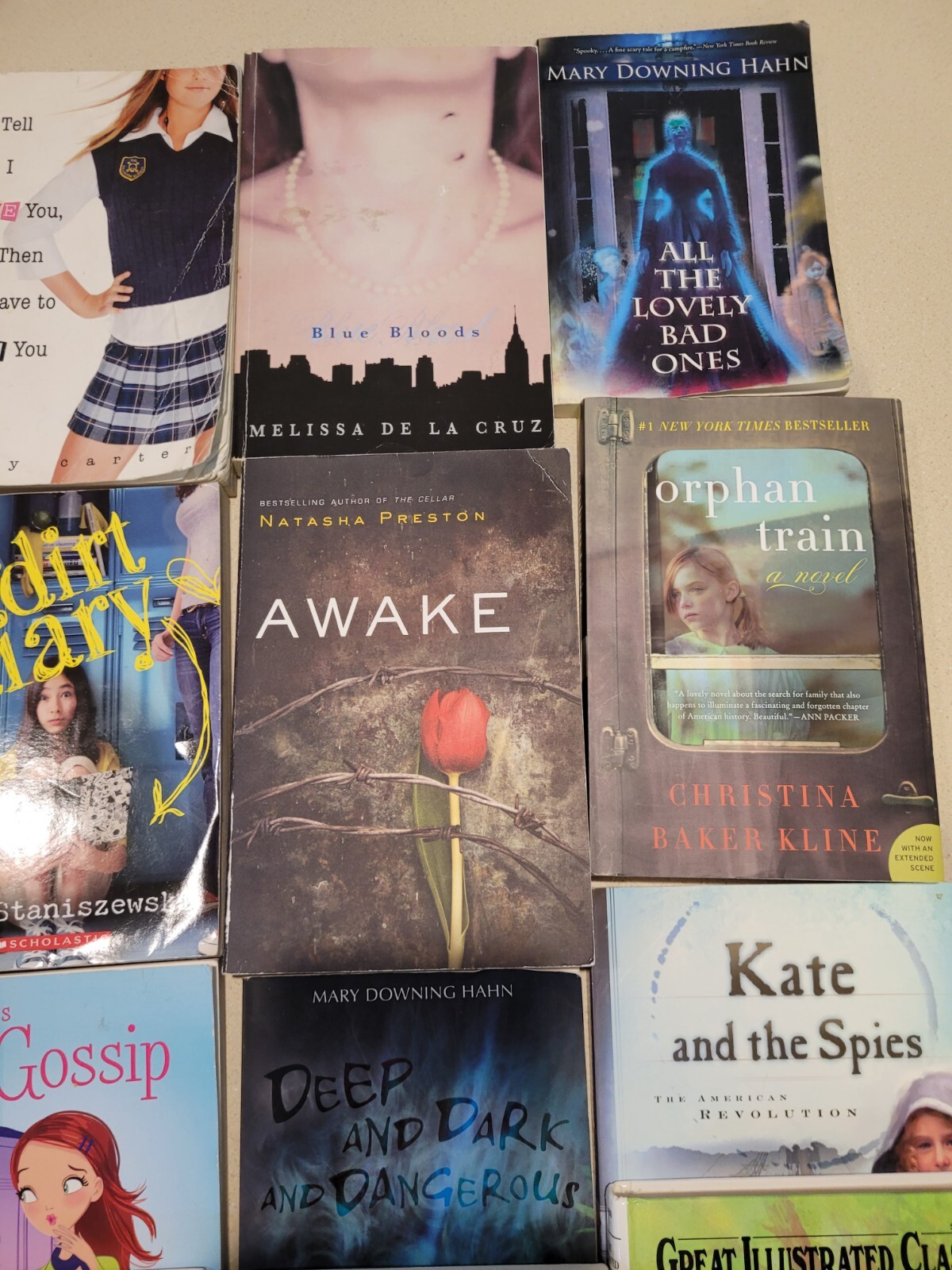 Lot of 17 Books, Girls YA, BL 5-6 Jr High, Drama, Classroom, Homeschool ...