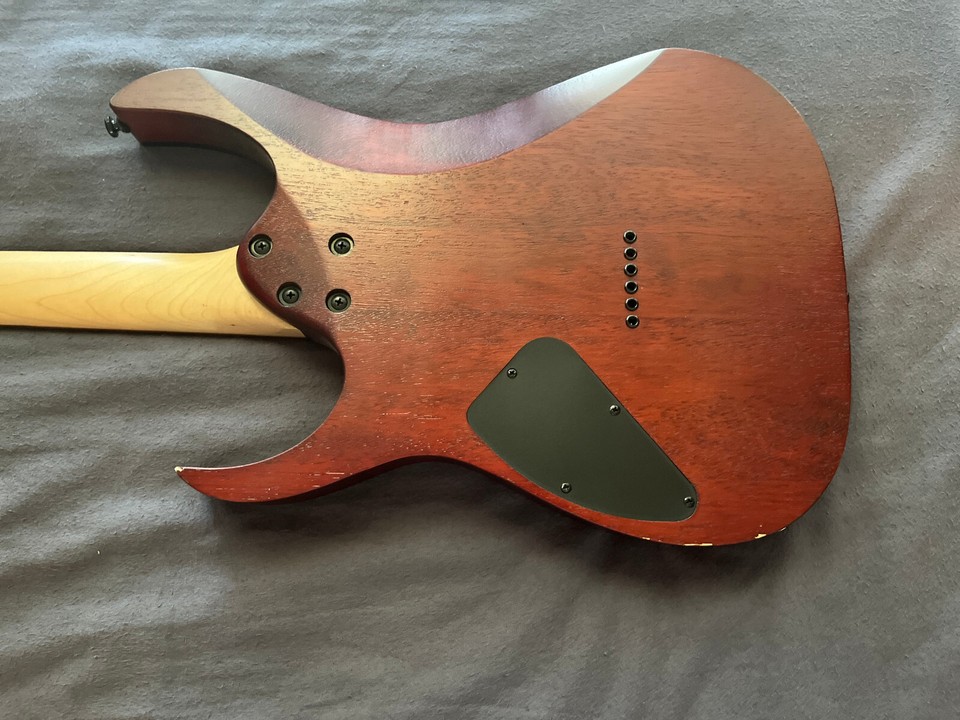 Ibanez RG6003fm Electric Guitar Gray + Road Runner Polyfoam Electric ...