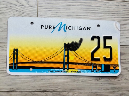 2020 Michigan License Plate Vanity #25 Low Number Error Test Plate | eBay