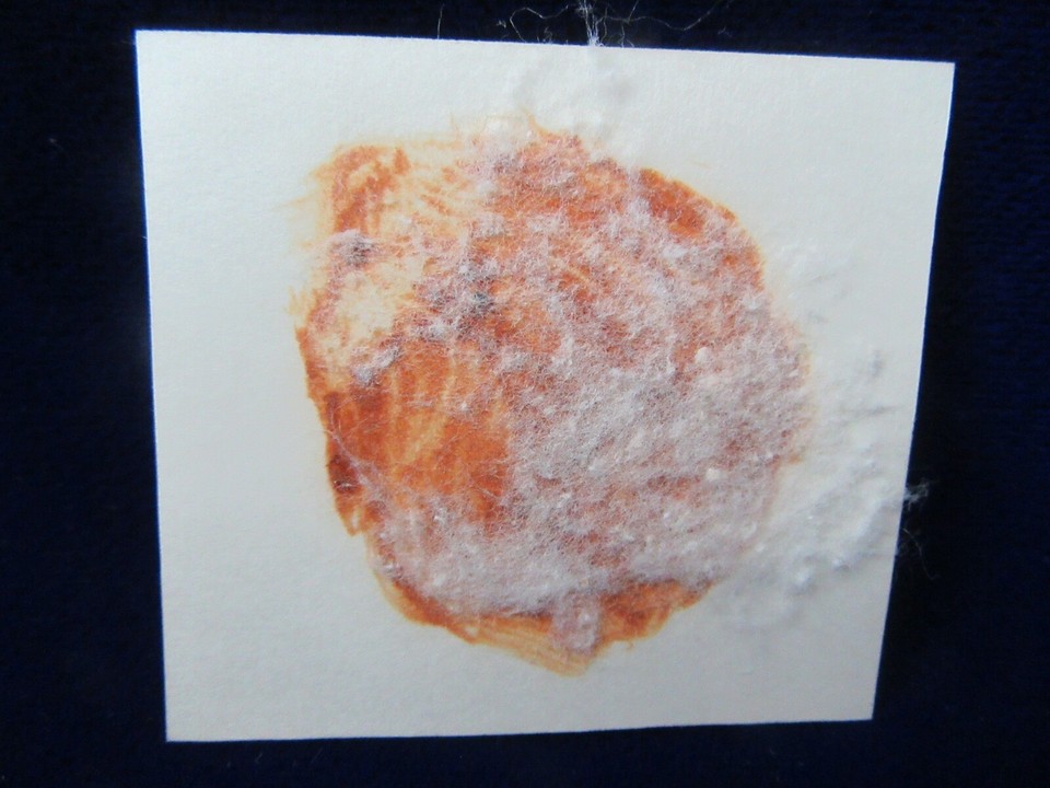 ANTIQUE VINTAGE GLASS APOTHECARY BOTTLE DRUG OLD LABEL WITCH HAZEL ...