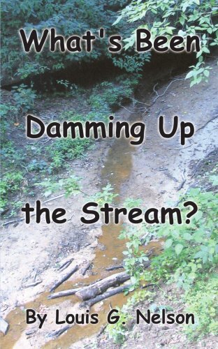 What's Been Damming Up the Stream?, Nelson 9781420817010 Fast Free ...
