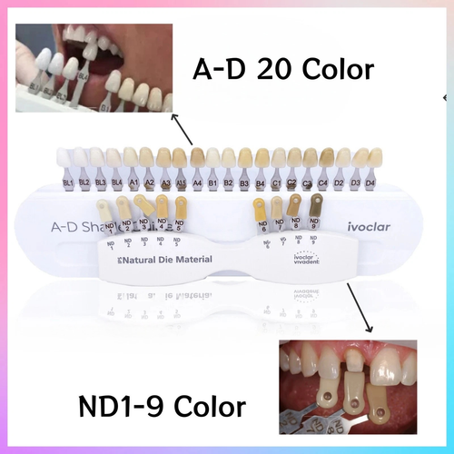 Ivoclar Vivadent Dental Shade Guide A-D 20 or IPS Natural Die ND1-9 ...