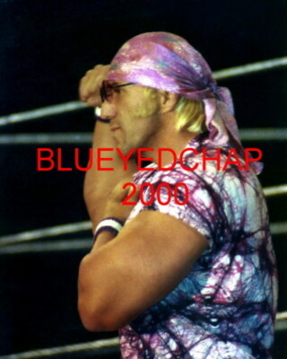 SUPERSTAR BILLY GRAHAM WRESTLER 8 X 10 WRESTLING PHOTO WWWF | eBay