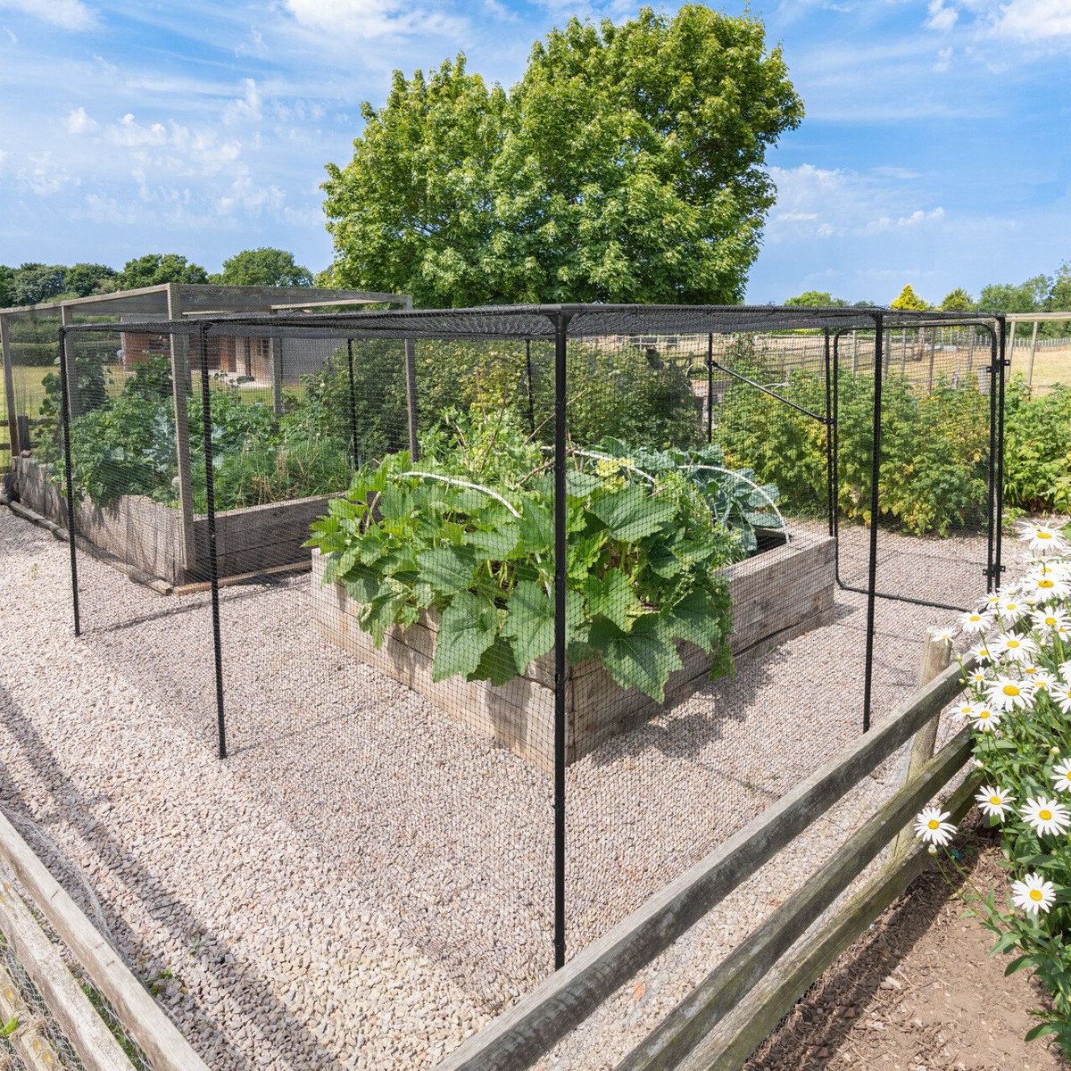 Garden Bird Netting Frame | Fasci Garden