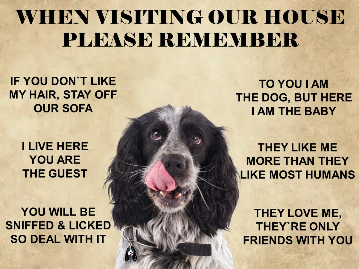 Cocker Spaniel Sayings