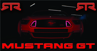 Ford Mustang GT Banner Vinyl Vertical Custom Garage Man Cave Hot Rod | eBay