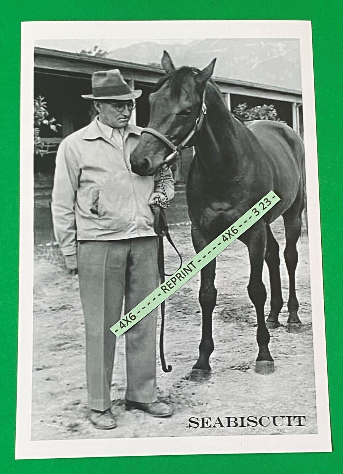 Found 4X6 PHOTO of Most Winning Old Race Horse SEABISCUIT with His ...