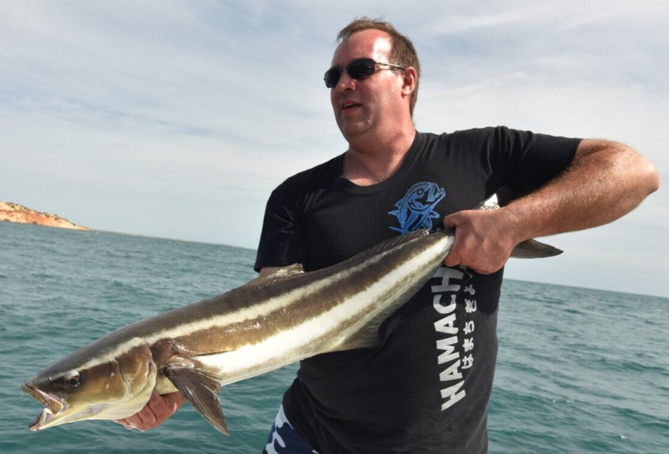 Hamachi Micro jigger Slow Pitch Jig PE0.5 - 1.4 Japanese fishing rod ...