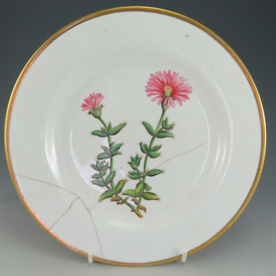Antique Porcelain Hand Painted Spode Titled Floral Dessert Plate 1820 ...