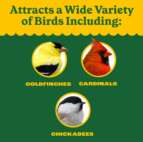 Pennington Classic Wild Bird Feed and Seed,10lb,20lb,40lb. Bag, Dry, 1 ...