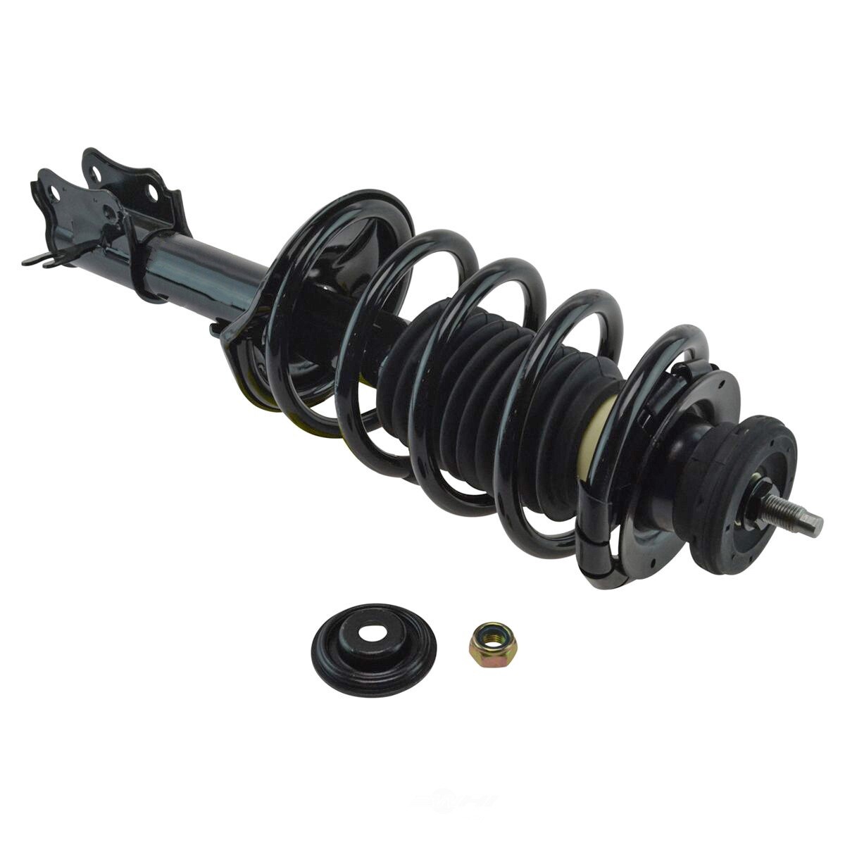 Suspension Strut and Coil Spring Assembly-Strut and Spring Assembly TRQ ...