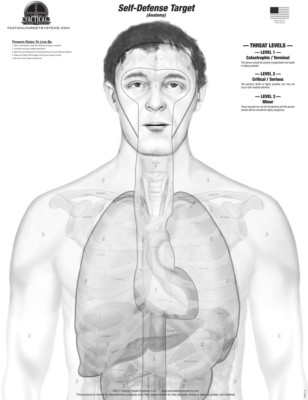 Self-Defense Anatomy Target Greyscale - Qty of 25 | eBay