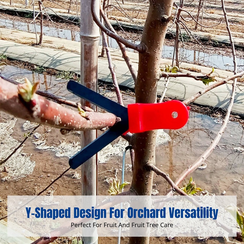 Y-Shaped Bud Notching Fruit Tree Ring Peeler, Garden Tool | eBay UK