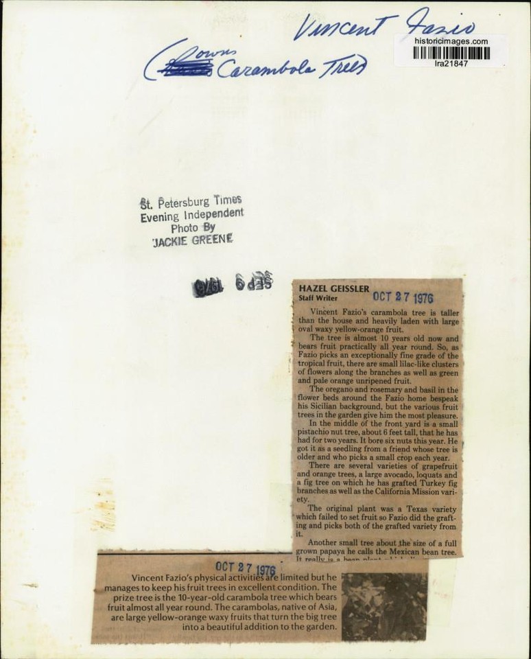 1976 Press Photo Vincent Fazio shows his carambola tree outside his ...