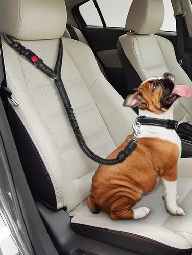 Car Safety Belt & Leash With Buckle for Pets | eBay