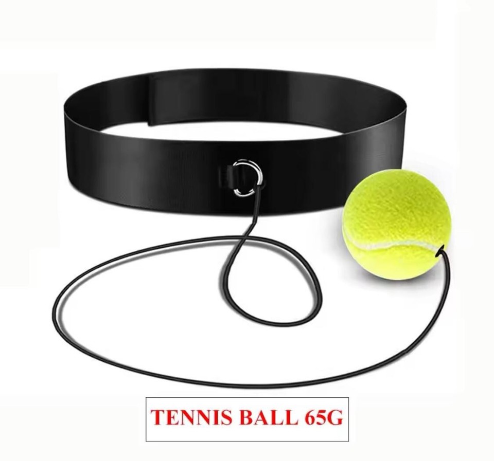 Boxbollen Original with App, Used by Celebrities - Mma Gear Boxing Ball ...