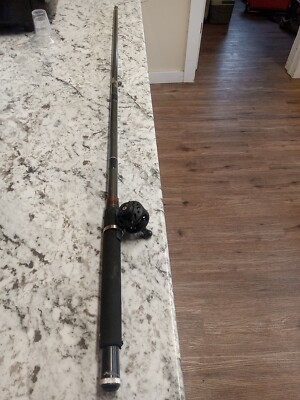 Vintage B'N'M Little Jewl 12ft Crappie Rod Model-Lj12 With Reel & 6lb ...